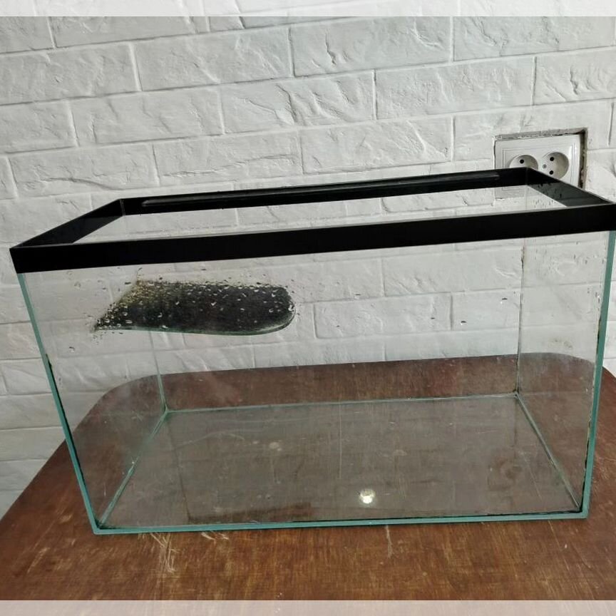 Аквариум для красноухой черепахи