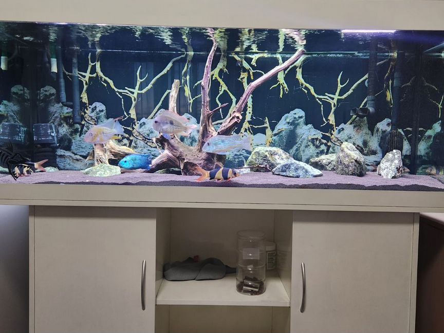 Аквариум juwel rio 450