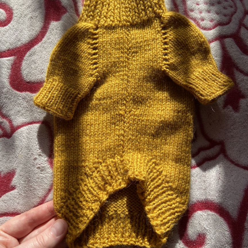 Кофта для кота или собаки