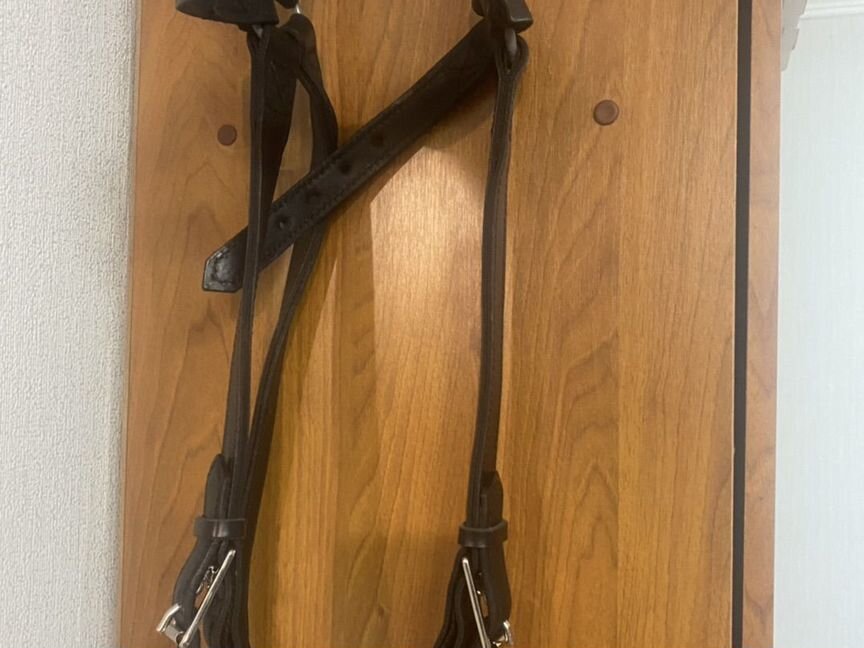 Уздечка для лошади