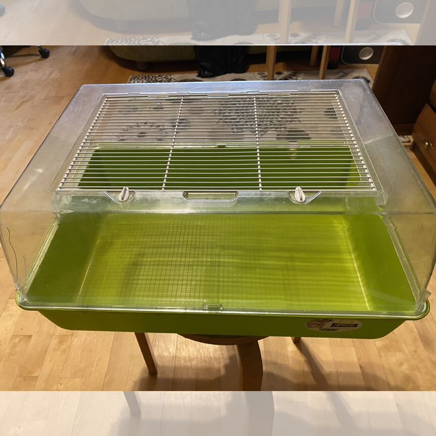 Клетка дюна