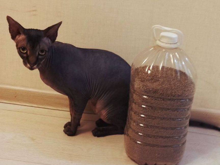 Наполнитель в кошачий туалет