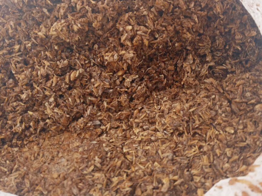 Пивная дробина