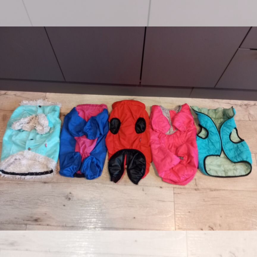 Одежда для собак мелких пород