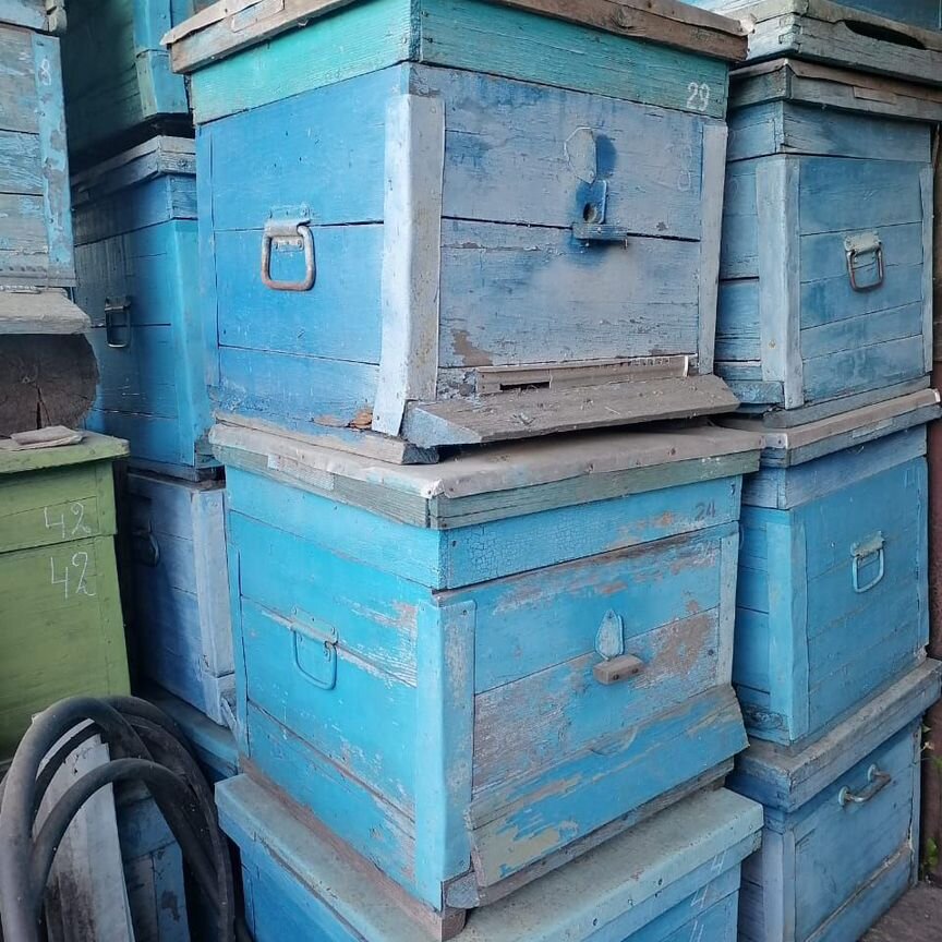 Ульи для пчел