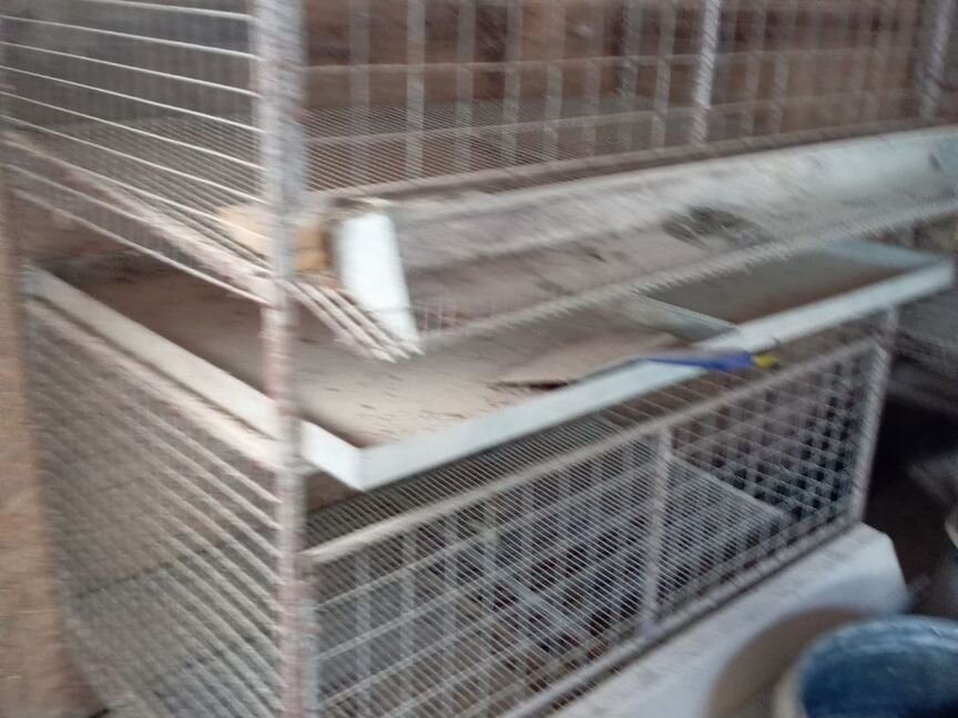 Клетки для кур несушек бу