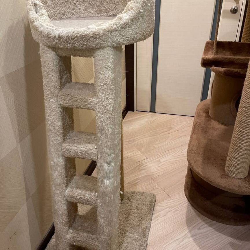 Когтеточка лесенка бесплатно