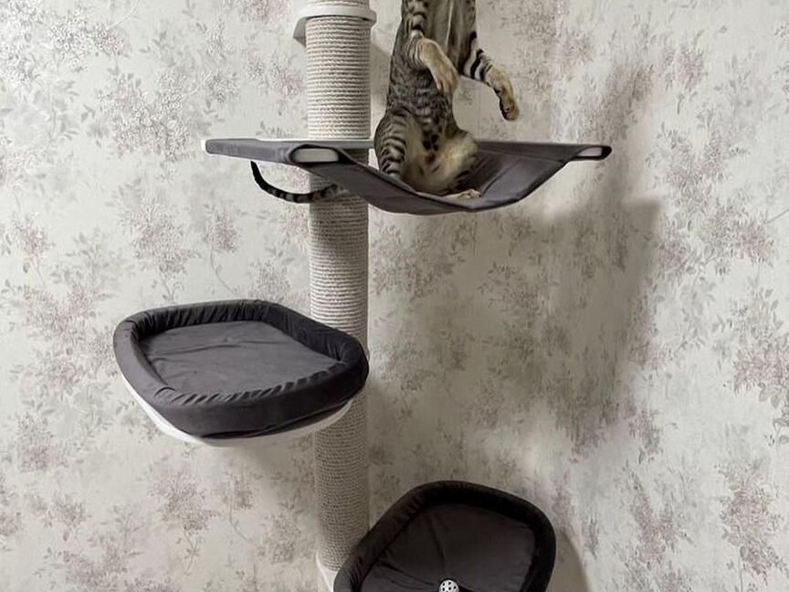 Когтеточка для кошки настенная