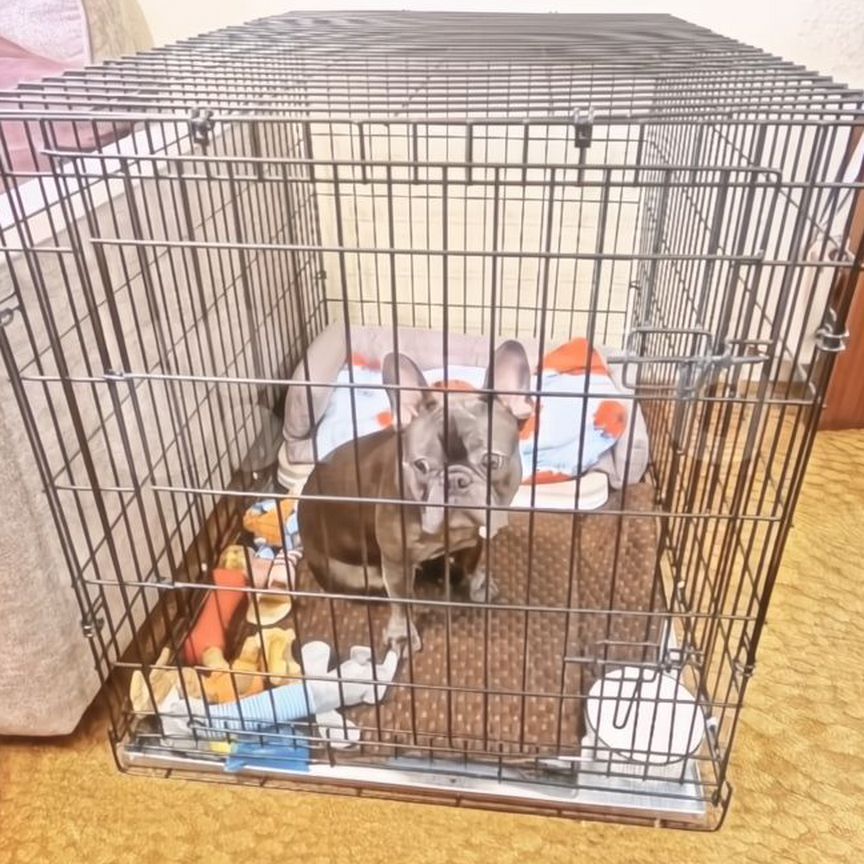 Клетка для собак