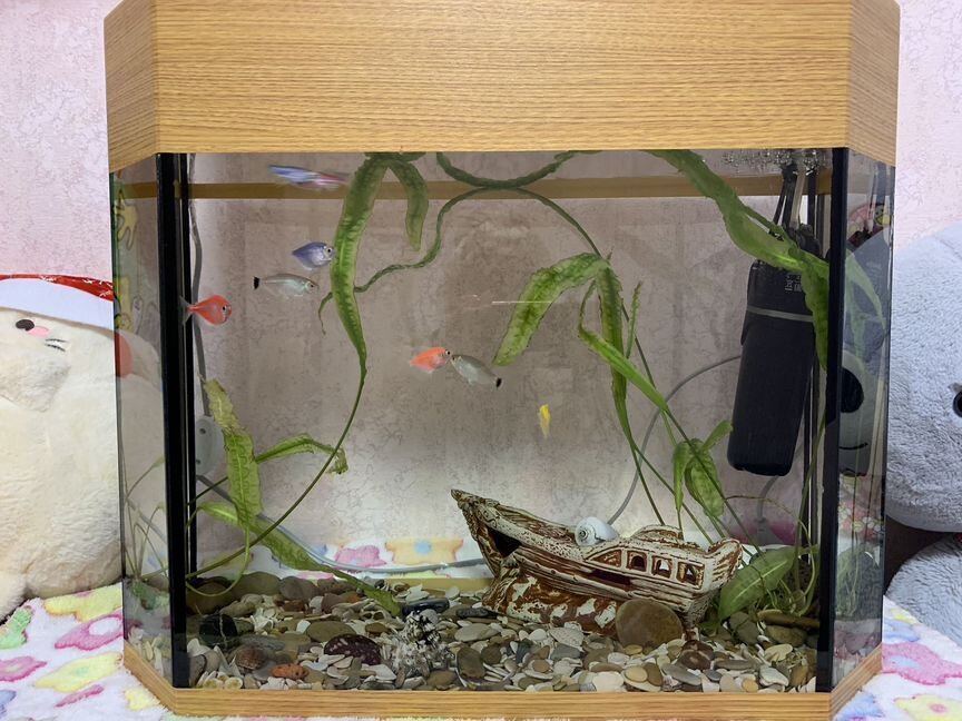 Продаю аквариум