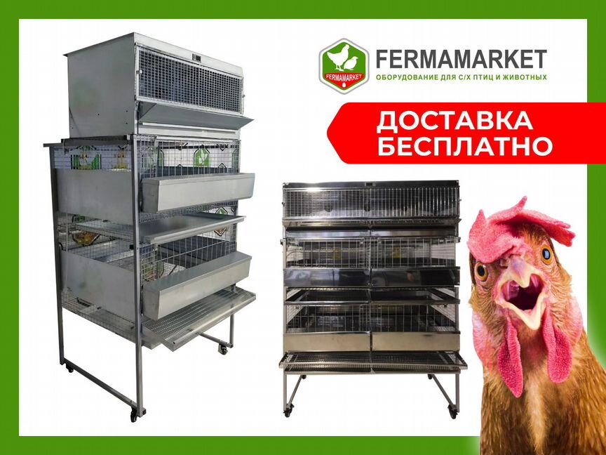 Клетки бройлеров, кур-несушек Сосенский
