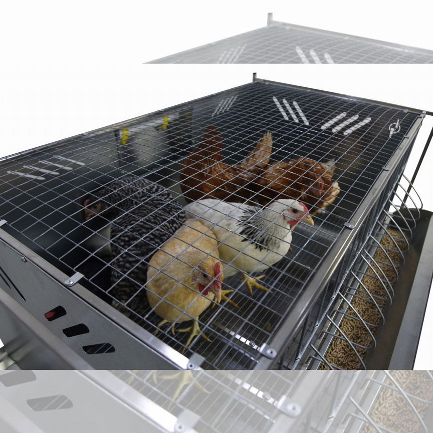 Клетка для кур, сетка ГОСТ