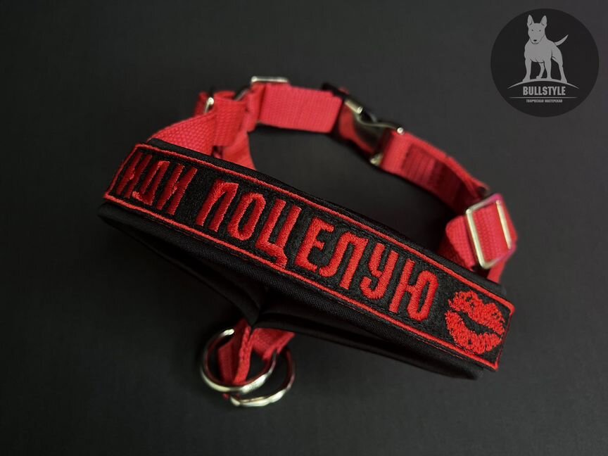 Халти для собак, недоуздок