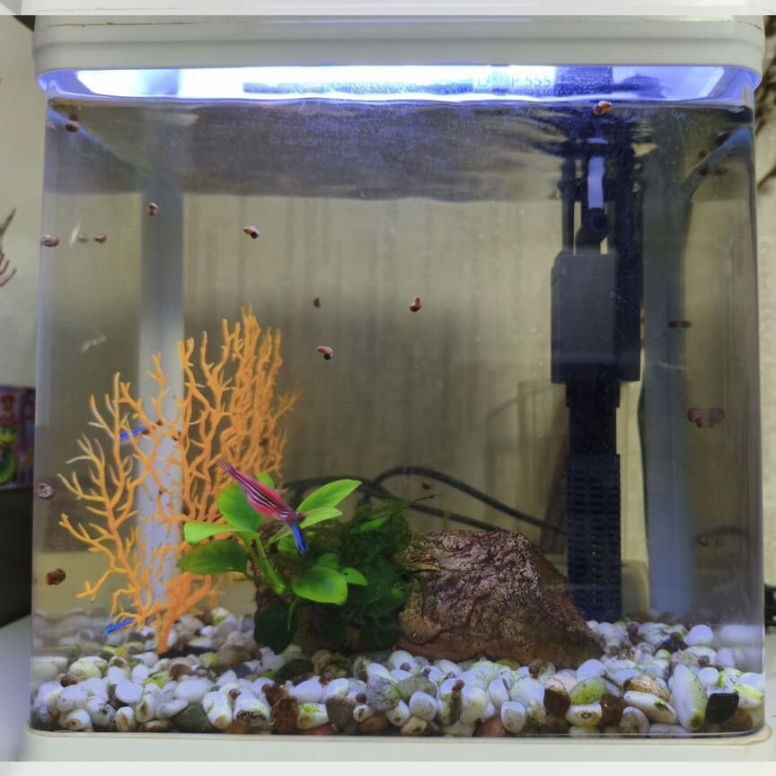 Аквариум с рыбками и всем комплектующим