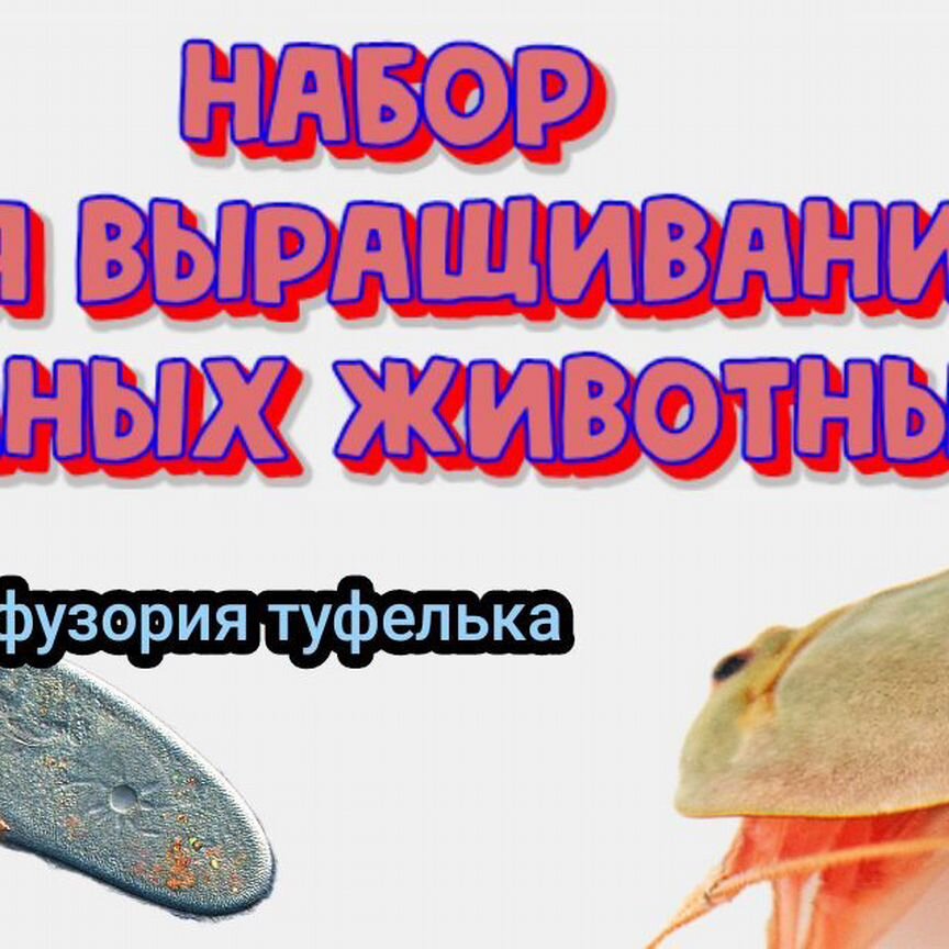 Триопс,щитень (цисты)