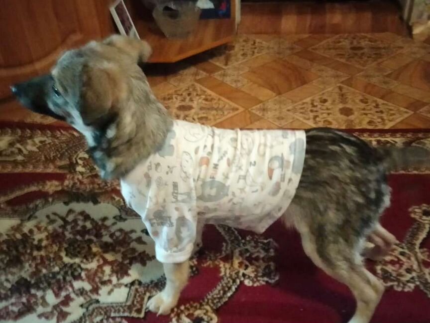 Малышка 4 мес