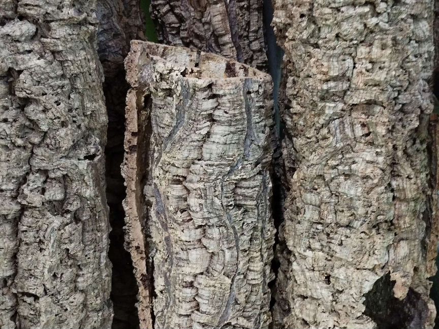 Кора декоративная