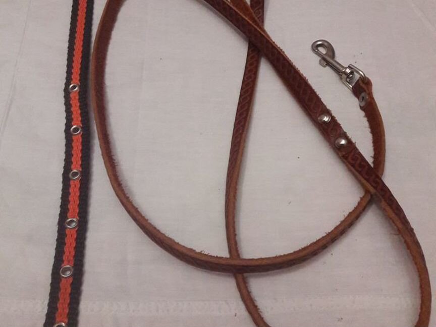 Ошейник с поводком