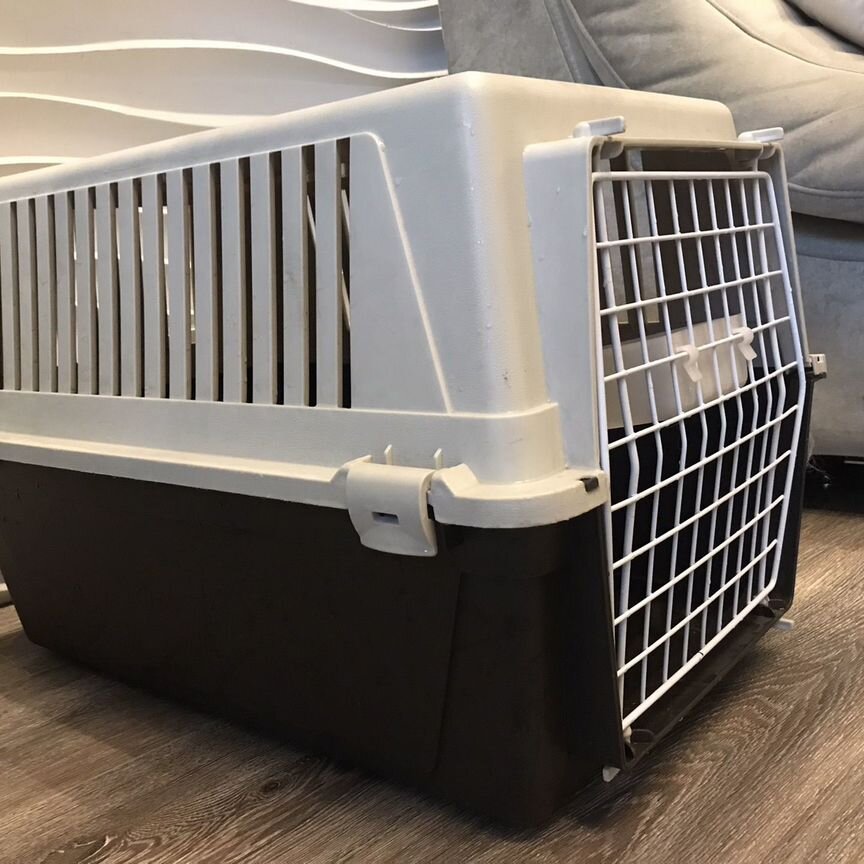 Переноска доя животных