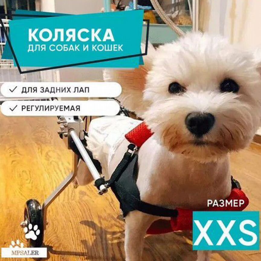 Инвалидная коляска для животных