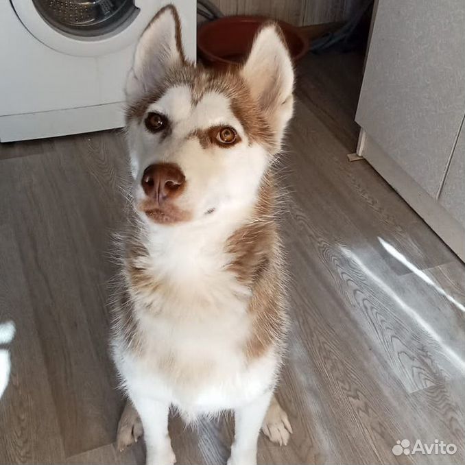 Всего 2 дня