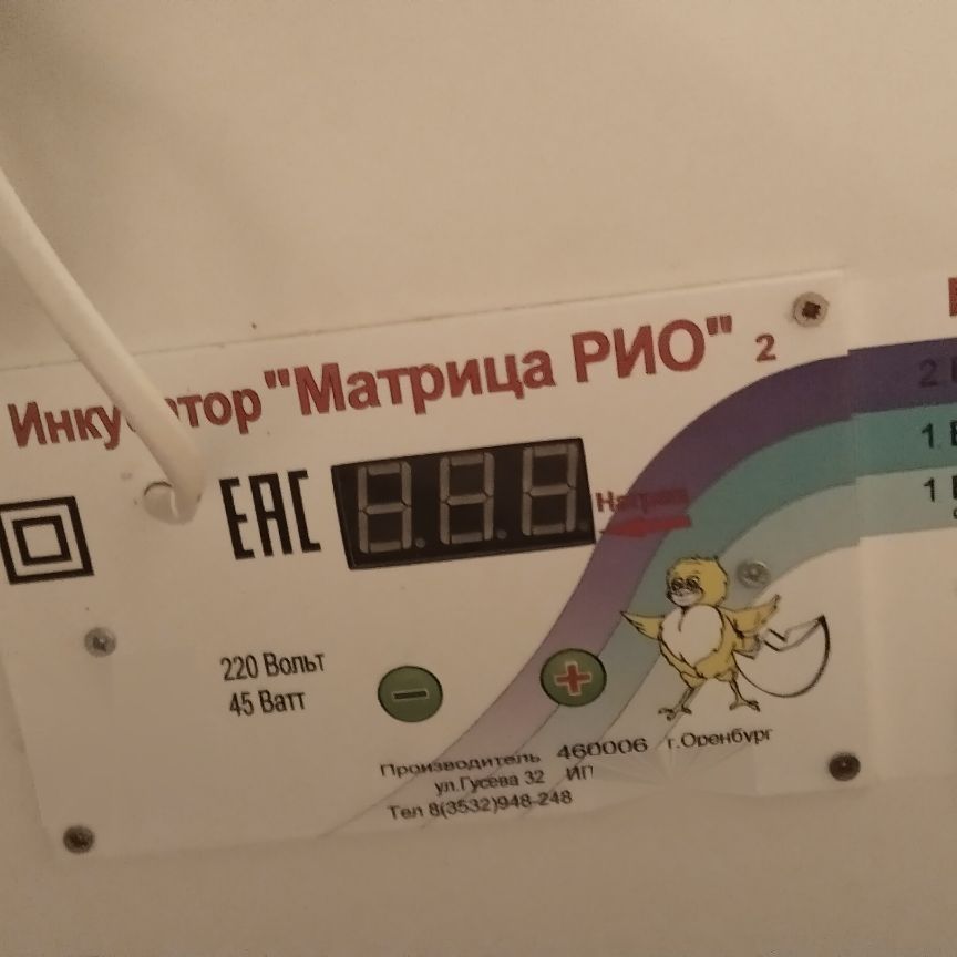 Инкубатор матрица рио