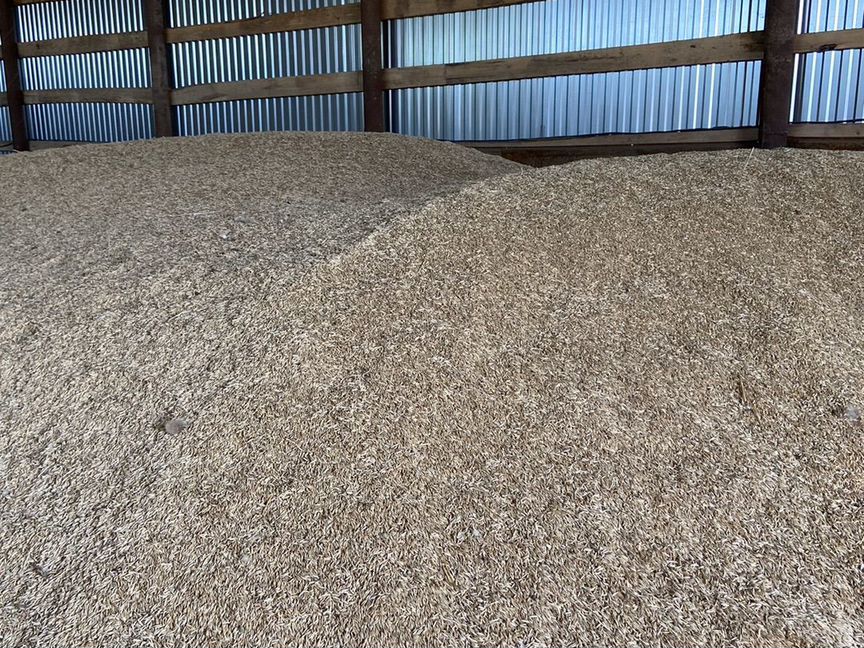 Зерно ячмень,овес