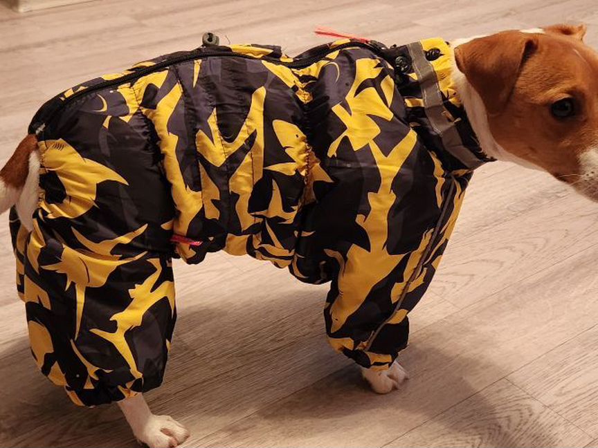 Комбинезон зимний для собак FormyDogs