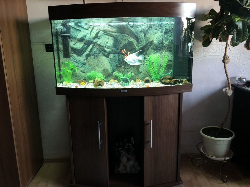 Аквариум с тумбой juwel панорамный