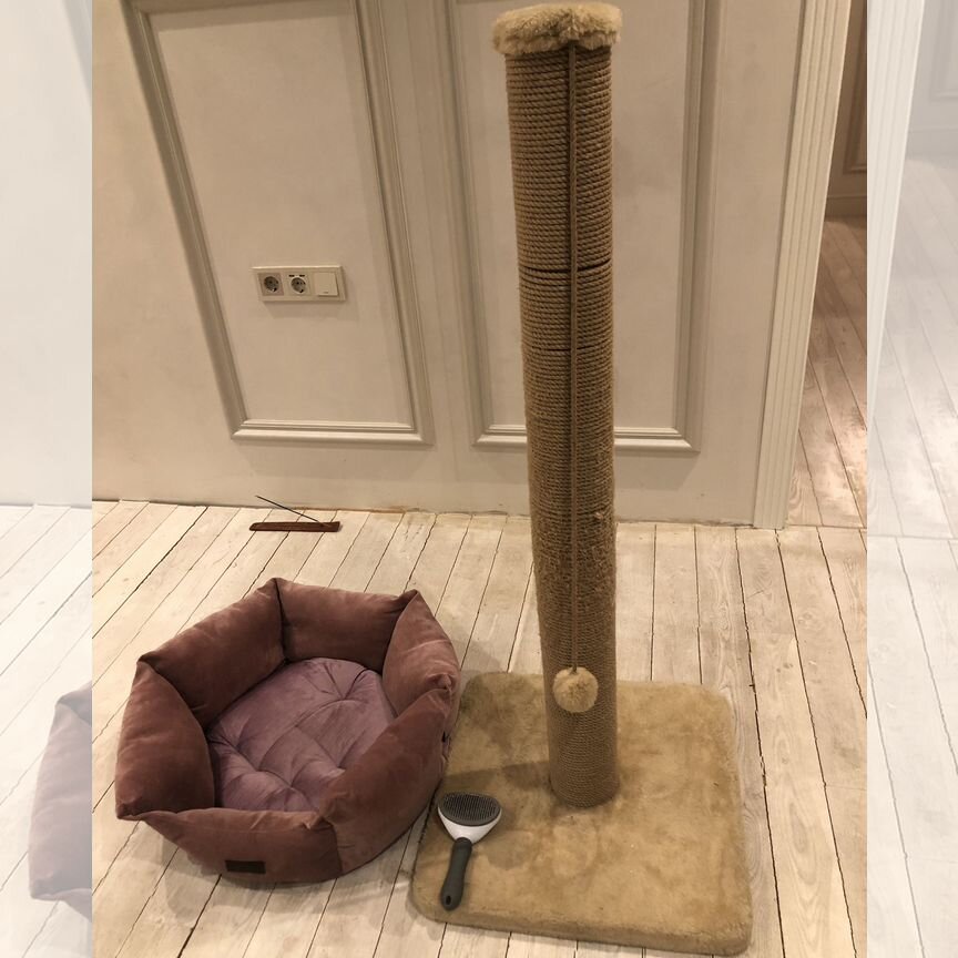 Когтеточка для кошек