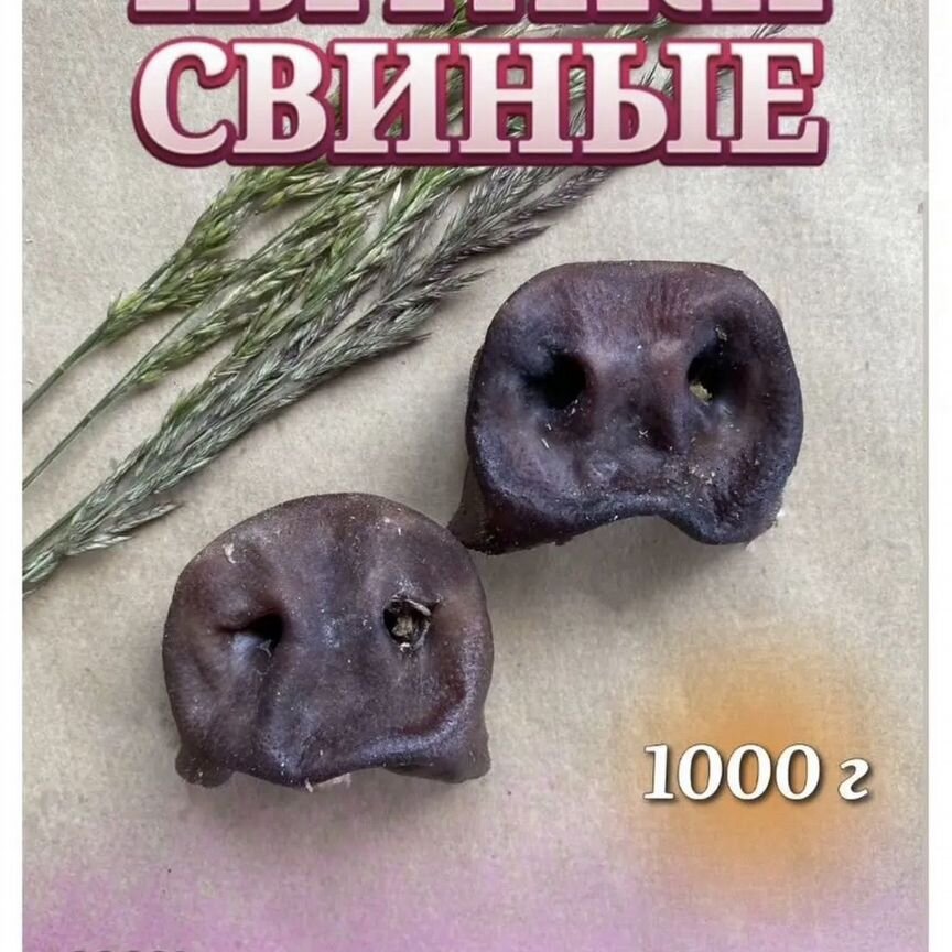 Пятаки свиные