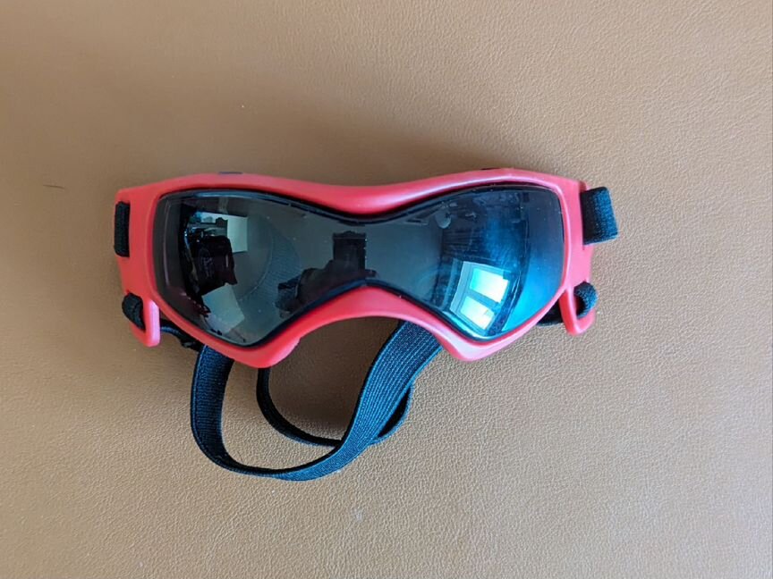 Очки для собак и кошек