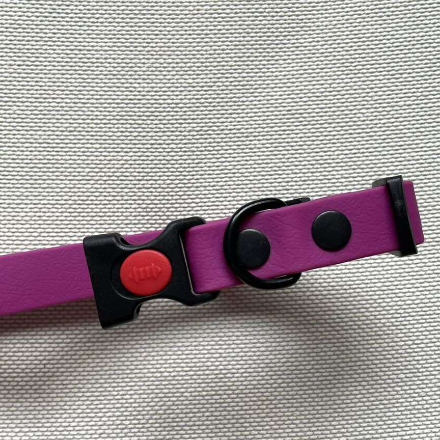 Ошейник для собак