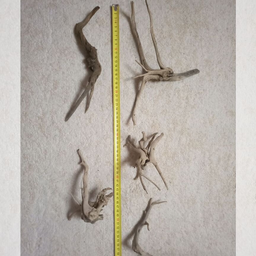 Мангровые коряги (набор)