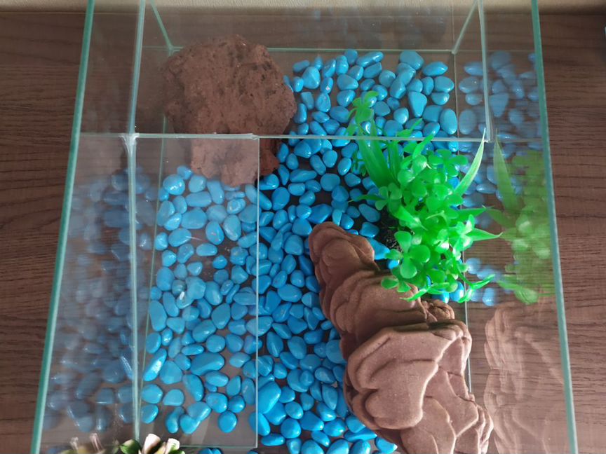 Аквариум для черепашки