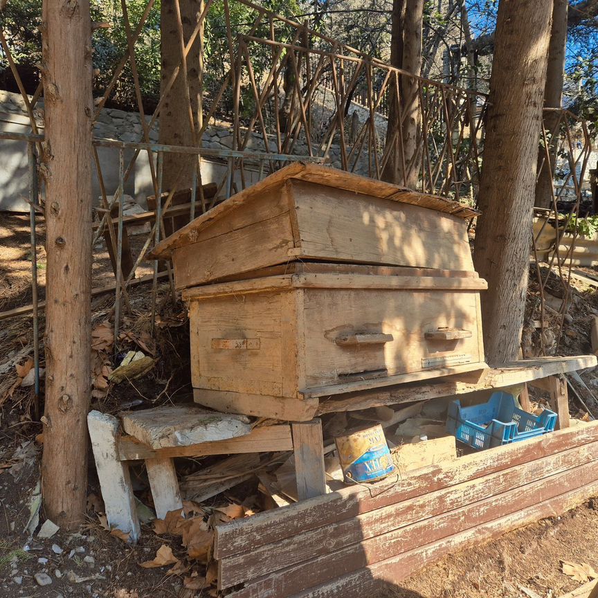 Улики для пчел