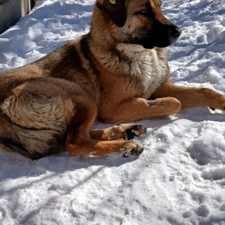 Стерильная девочка- сторож ищет работу и дом