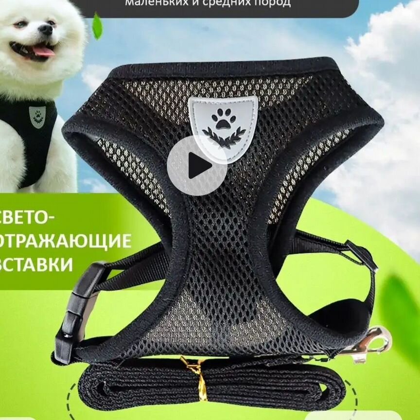 Шлейка для кошки