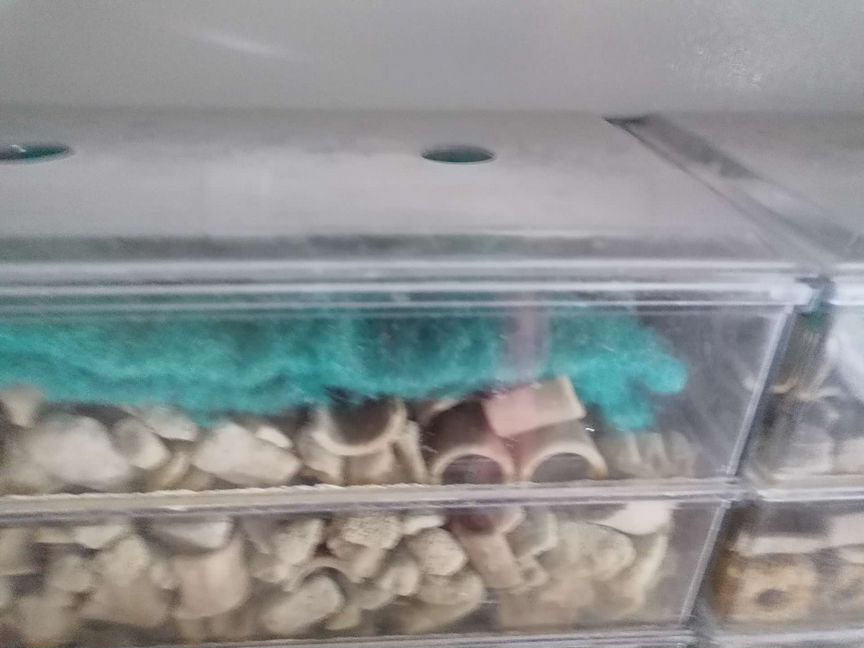 Аквариумный внешний фильтр