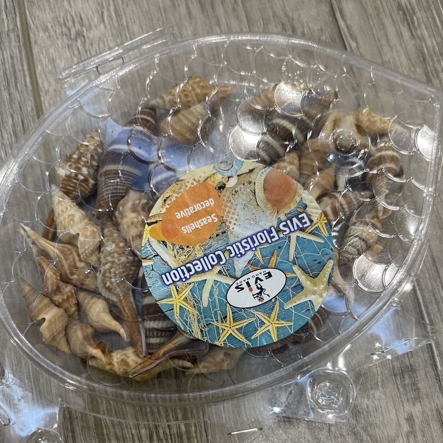 Ракушки для аквариума