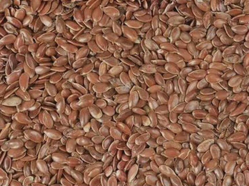 Лен семена льна