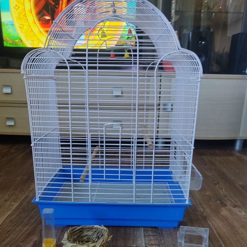 Птичья клетка