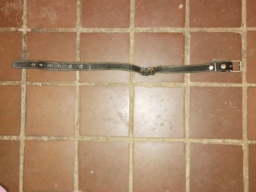 Шлейка для немецкой овчарки