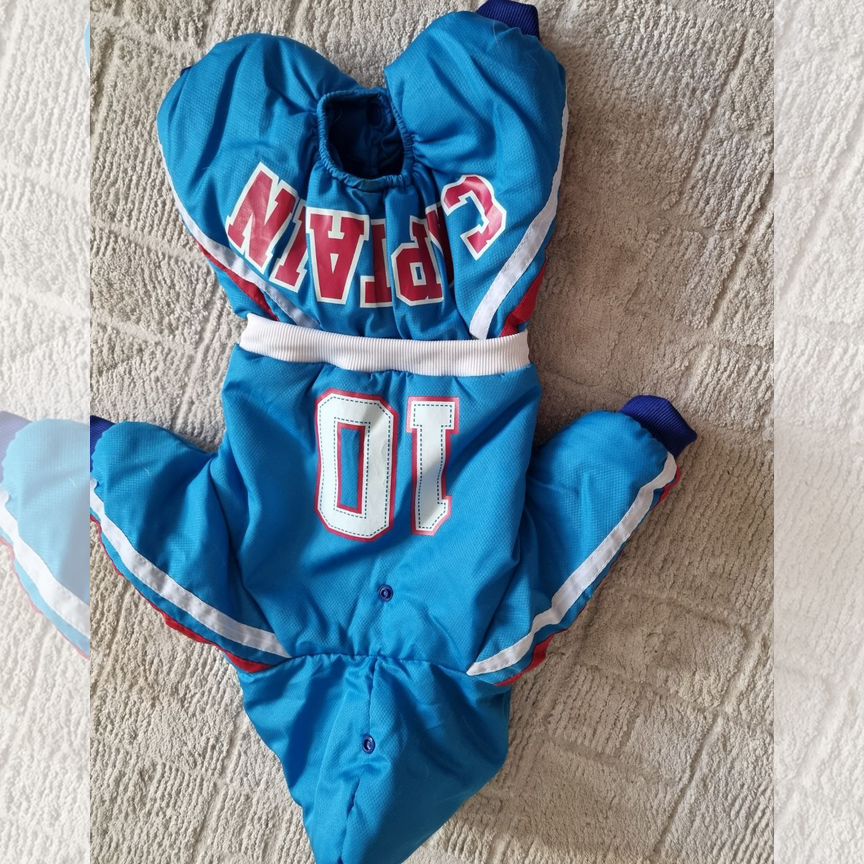 Одежда для собак мелких пород зима