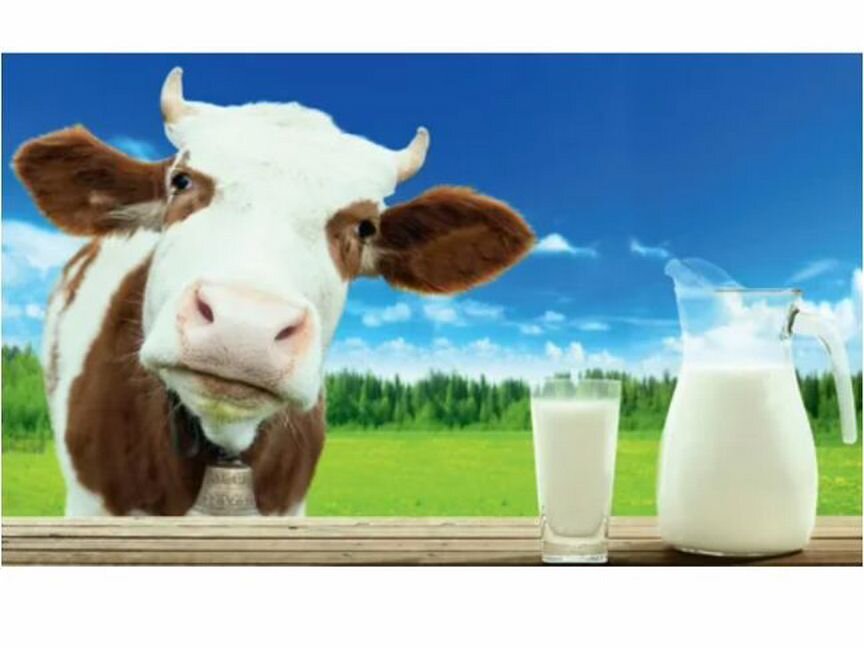 Молоко на корм животным