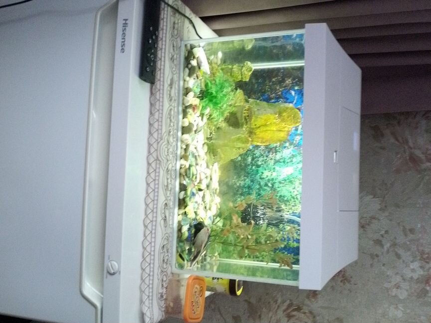 Аквариум бу со всеми вещами насос каналы и т. д