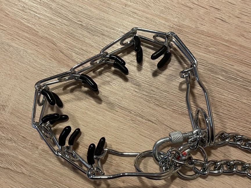 Строгий ошейник для собак