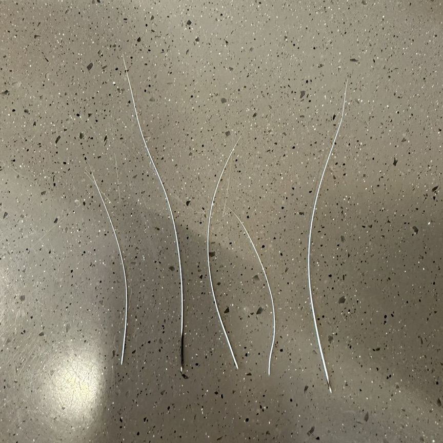 Кошачьи усы