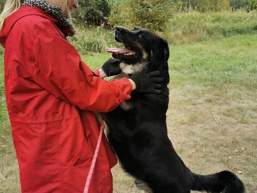 В поисках дома