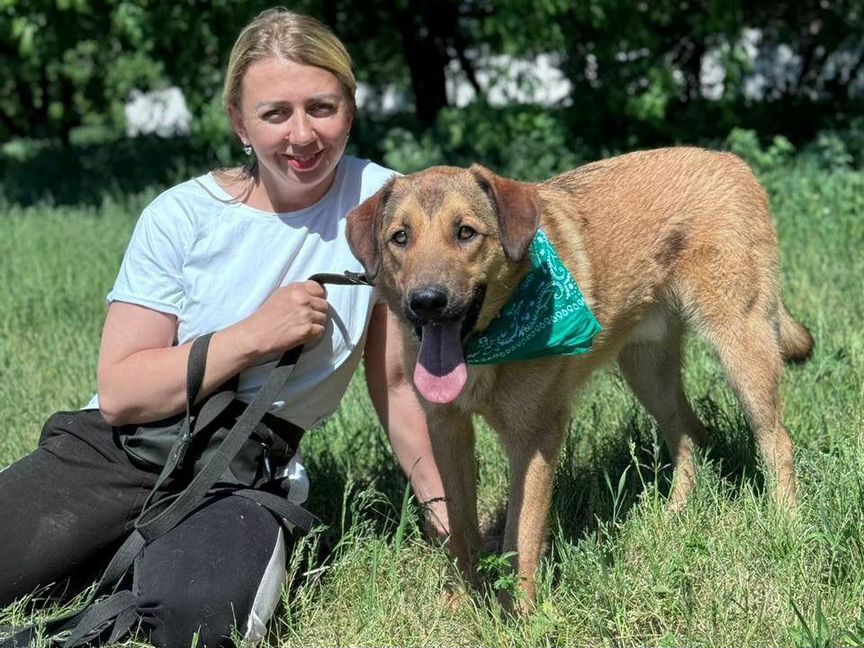 Смурфику нужен дом